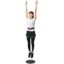 Takei Jump Meter | HaB Direct