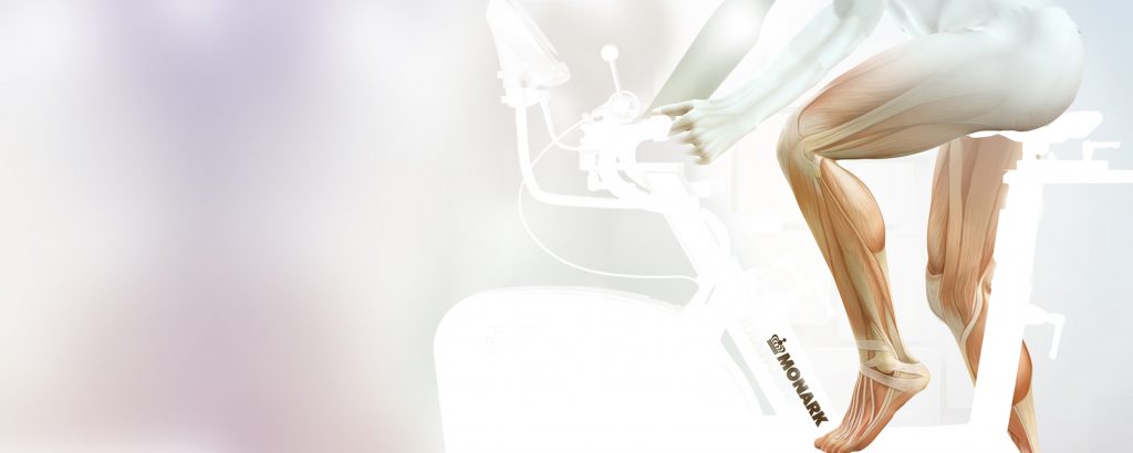 How to Choose the Ideal Cycle Ergometer | HaB Direct