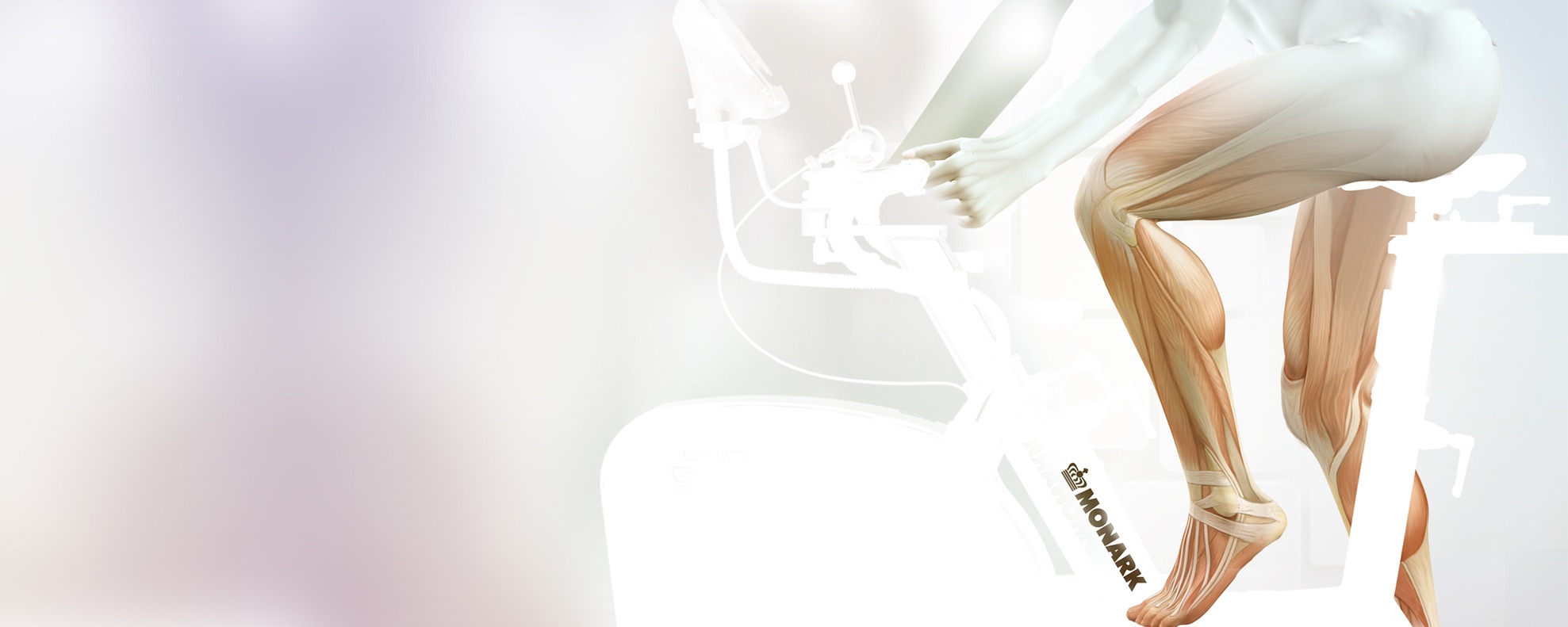 How to Choose the Ideal Cycle Ergometer | HaB Direct