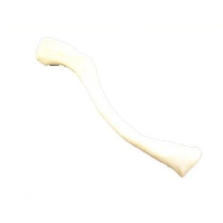 Clavicle Bone Anatomical Model | HaB Direct