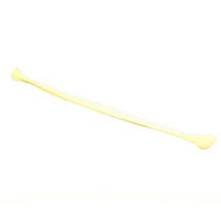 Fibula Bone Anatomical Model | HaB Direct